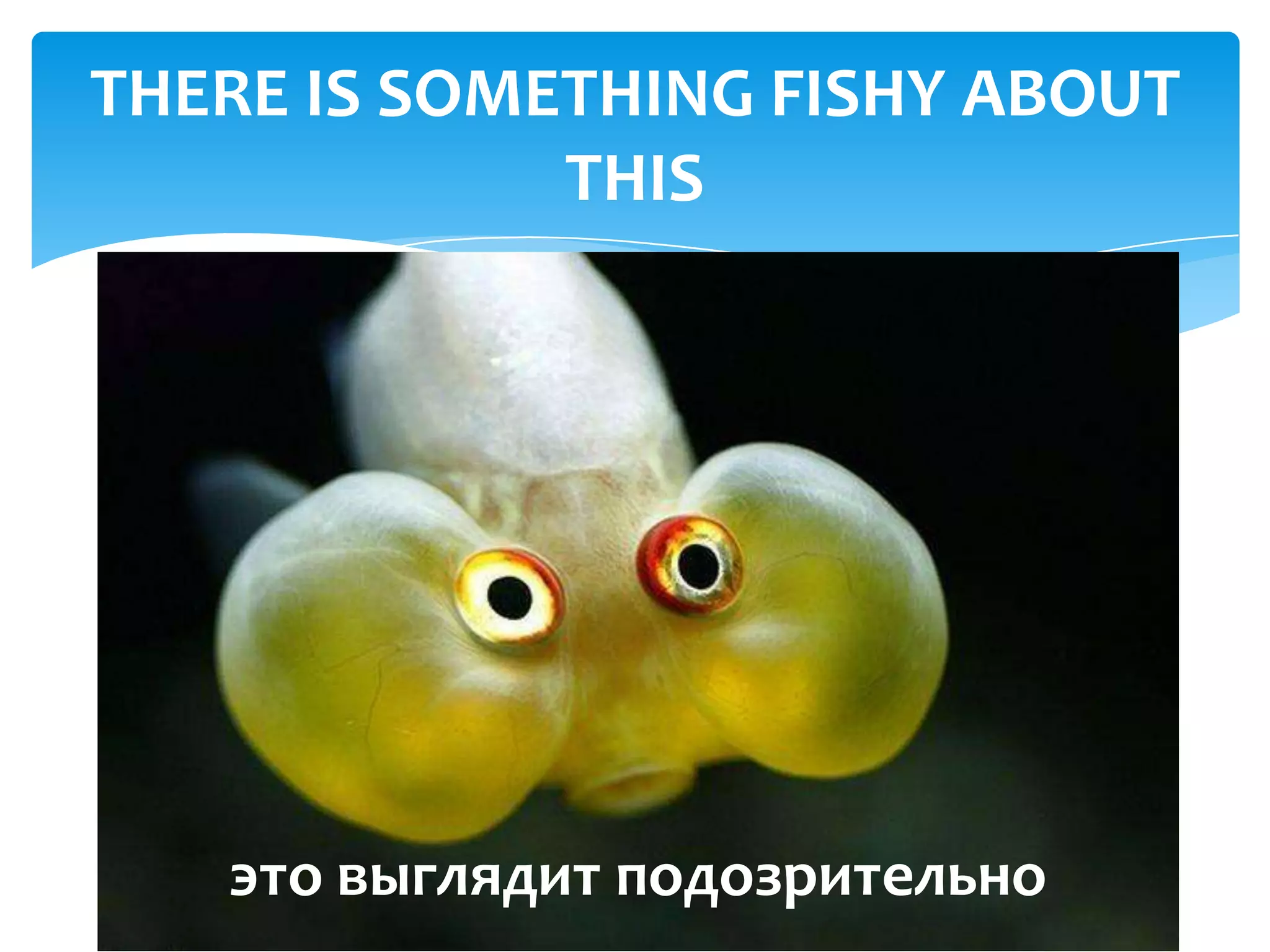 Idioms with the word "FISH" | PPTX