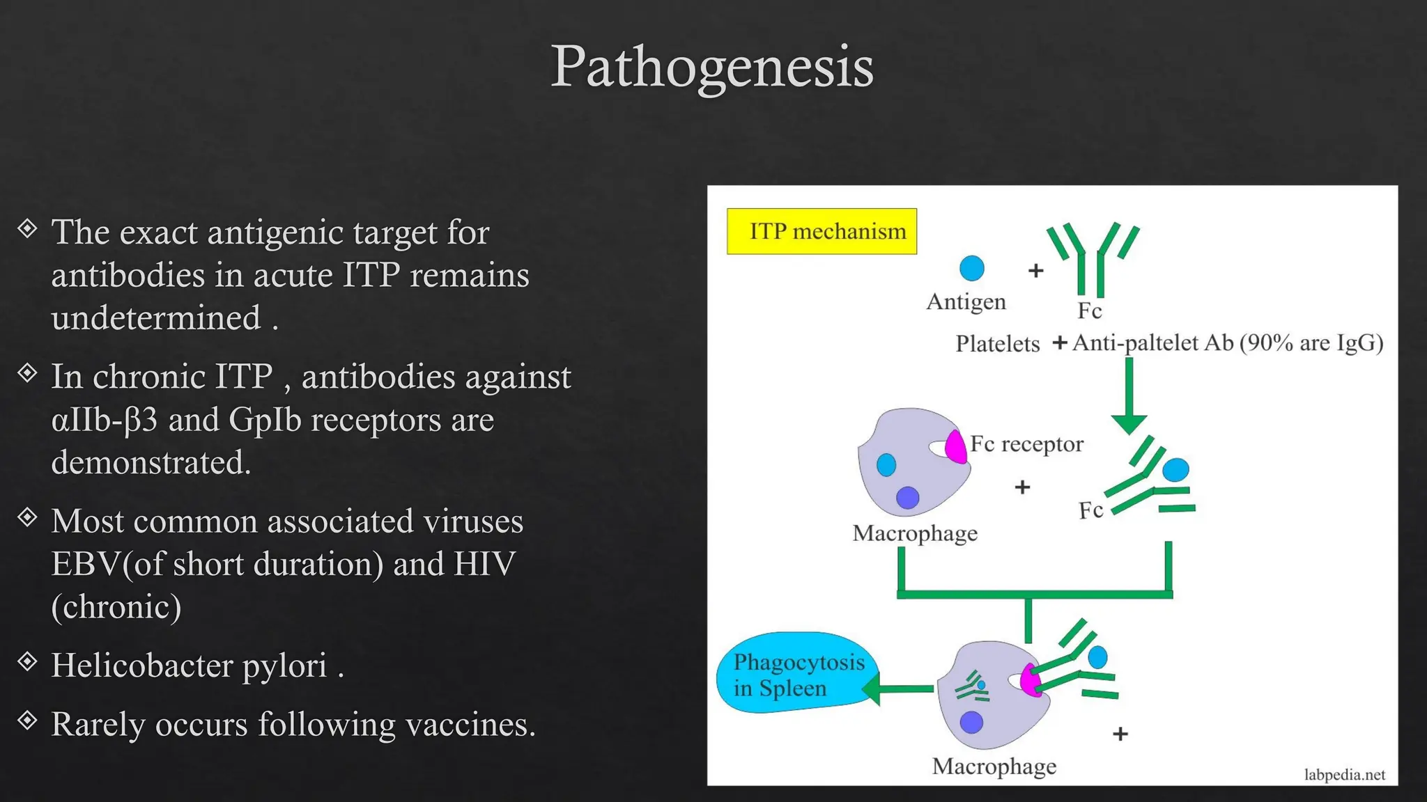 Immune thrombocytopenic purpura(ITP) .pptx