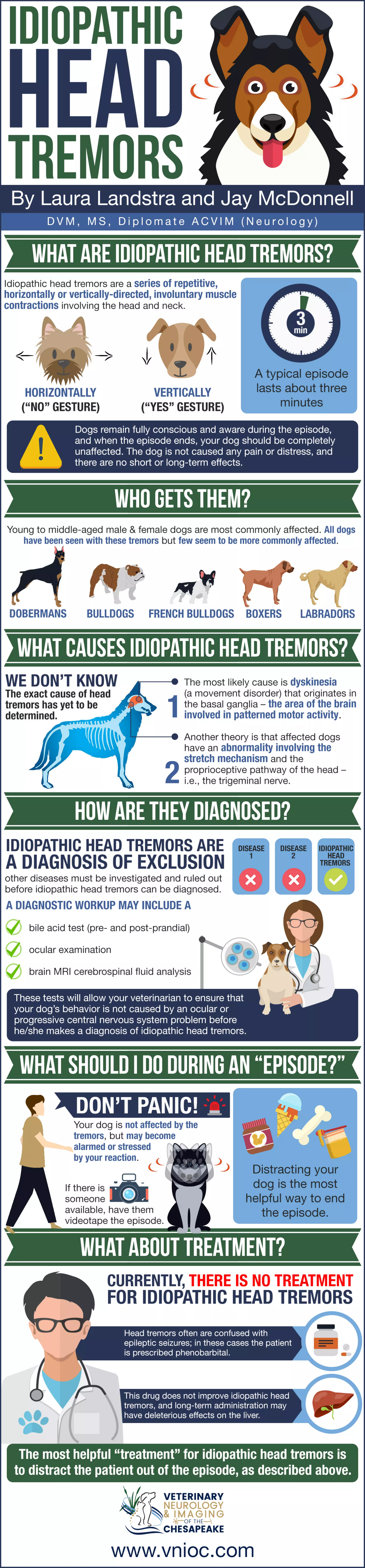 Idiopathic Head Tremors Infographic | PDF