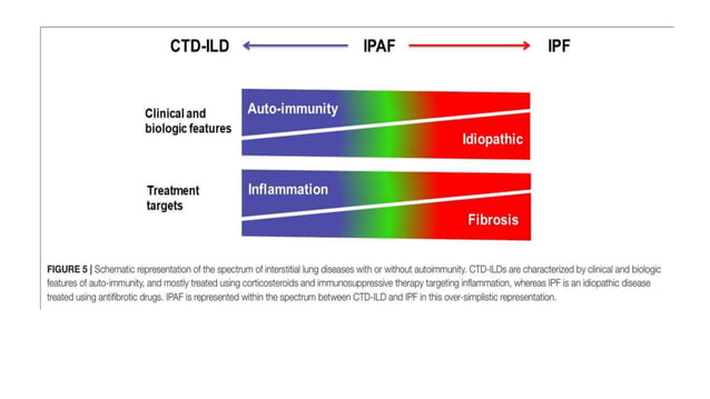 Idiopathic Interstitial Pneumonia With Autoimmune Features(IPAF).pptx