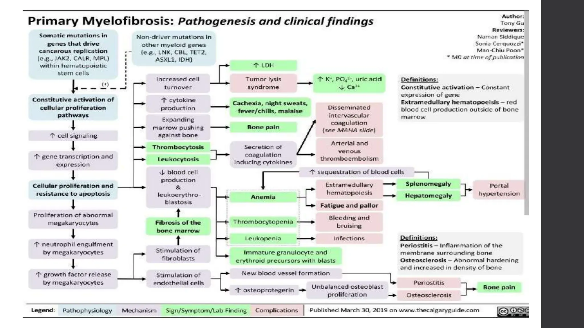 IDIOPATHIC MYELOFIBROSIS Treatment and Management.pptx