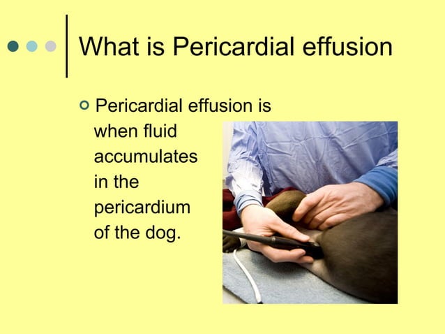 Idiopathic pericardial effusion in dogs | PPT