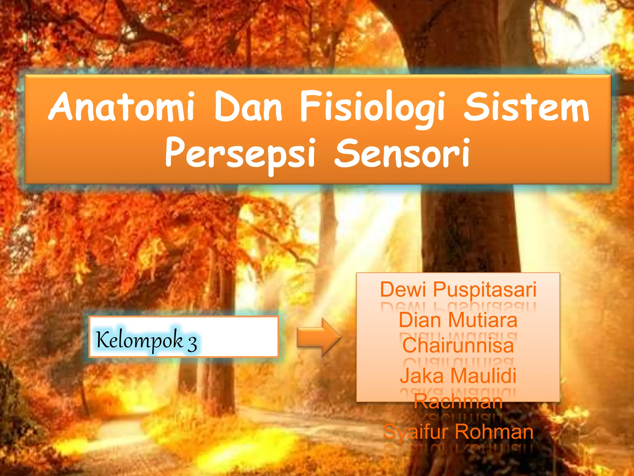 Idk ii persepsi sensori | PPTX