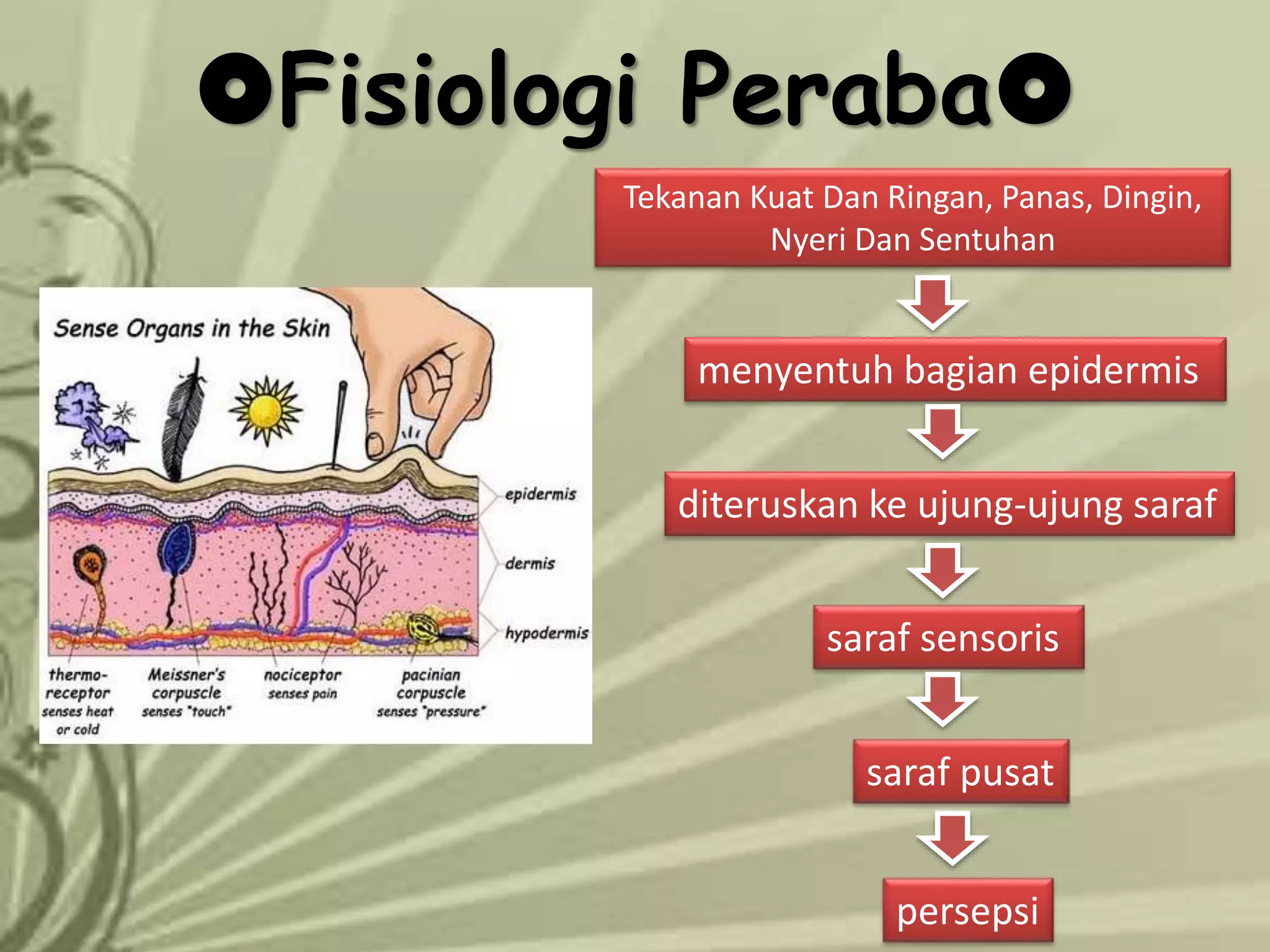 Idk ii persepsi sensori | PPTX