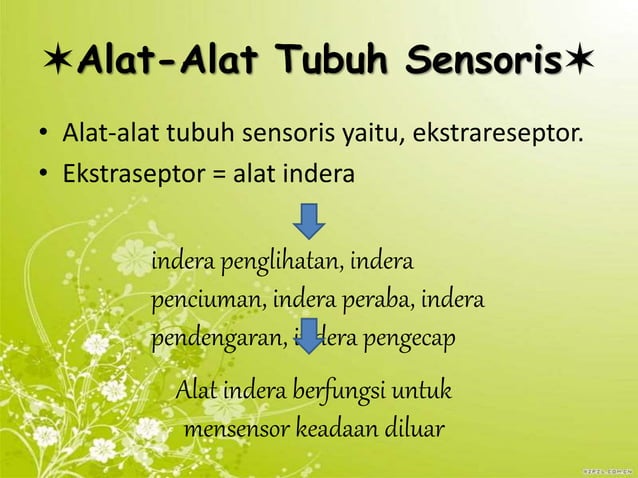 Idk ii persepsi sensori | PPTX