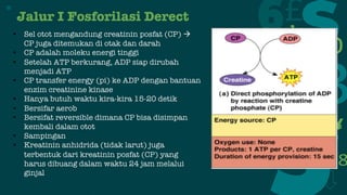 Kuliah Pertemuan IV Interpretasi Data Klinik Sistem Mukoskeletal | PDF