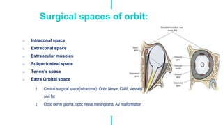 Approach to the case of PROPTOSIS | PPTX