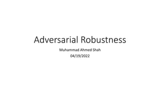 adversarial robustness lecture | PPT