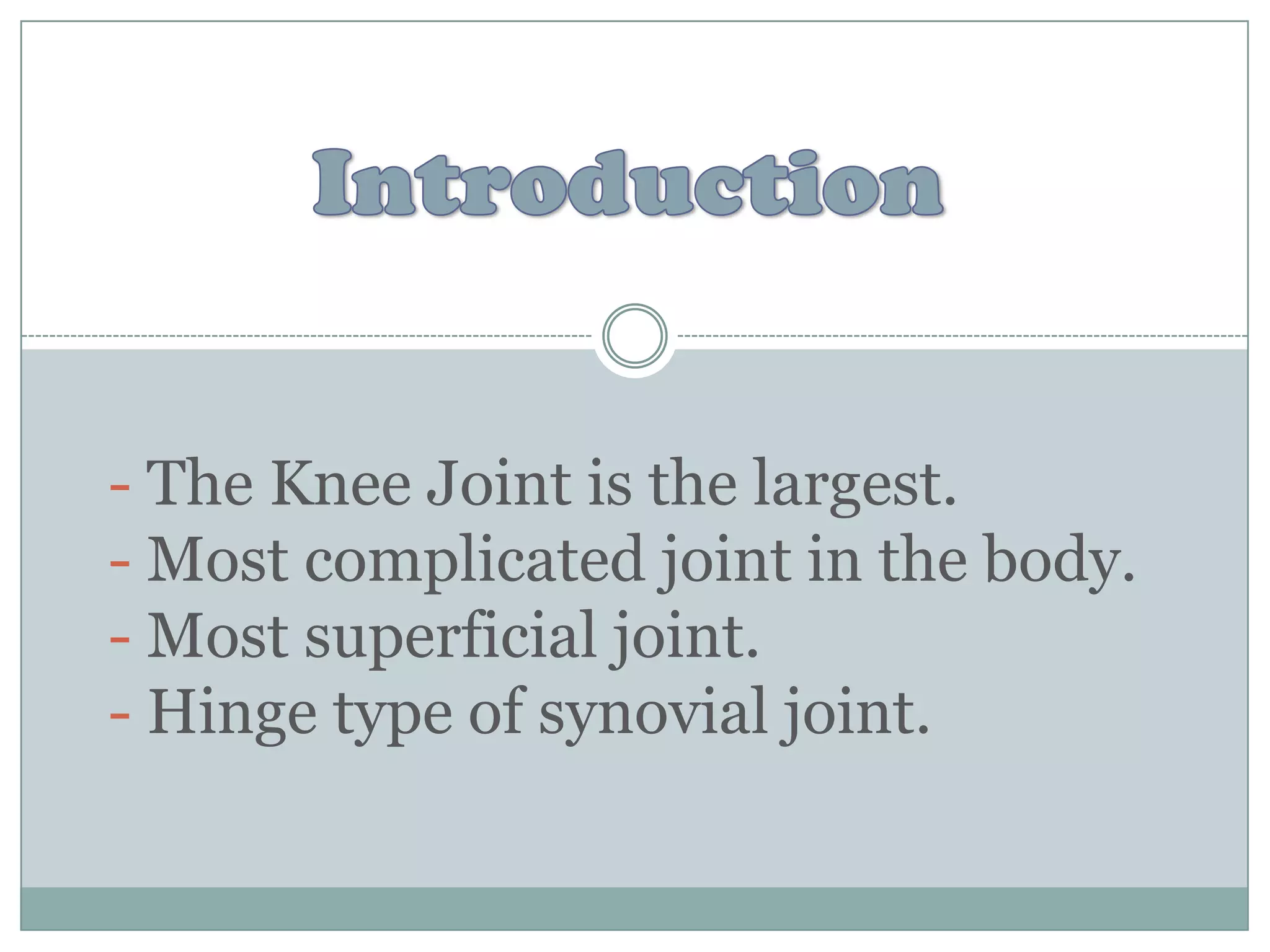 knee joint | PPT
