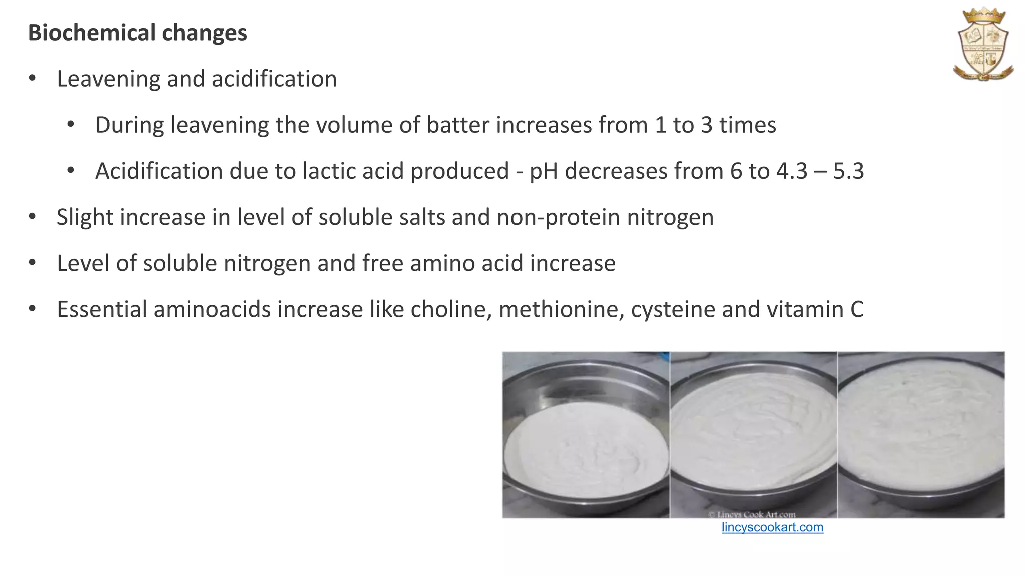 Food Fermentations - Part III - Idli fermentation | PPTX