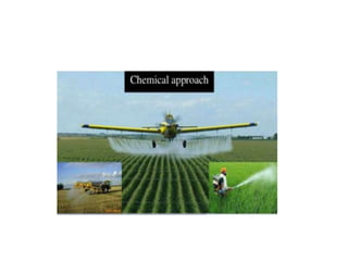 Integrated disease management of vegetables | PPTX