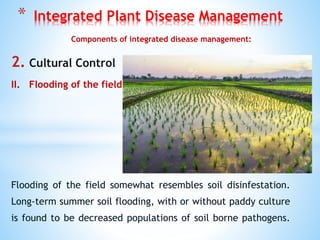 Integrated Plant Disease Management (IDM) | PPTX