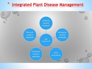 Integrated Plant Disease Management (IDM) | PPTX