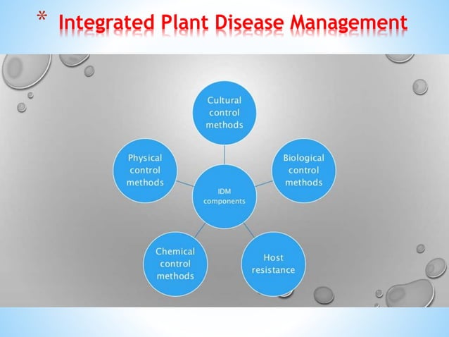 Integrated Plant Disease Management (IDM) | PPTX | Infectious Diseases ...