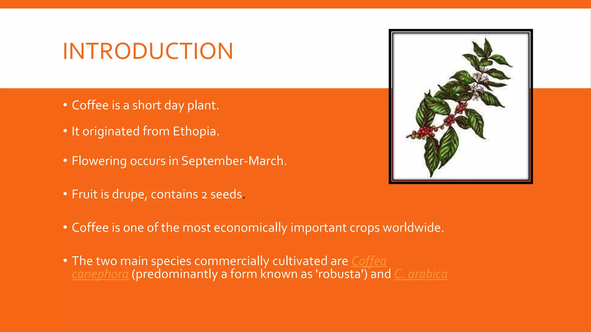 diseases of coffee and their management | PPTX