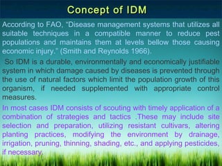 IDM MODEL OF RED ROT OF SUGERCANE By Md. Kamaruzzaman Shakil | PPT