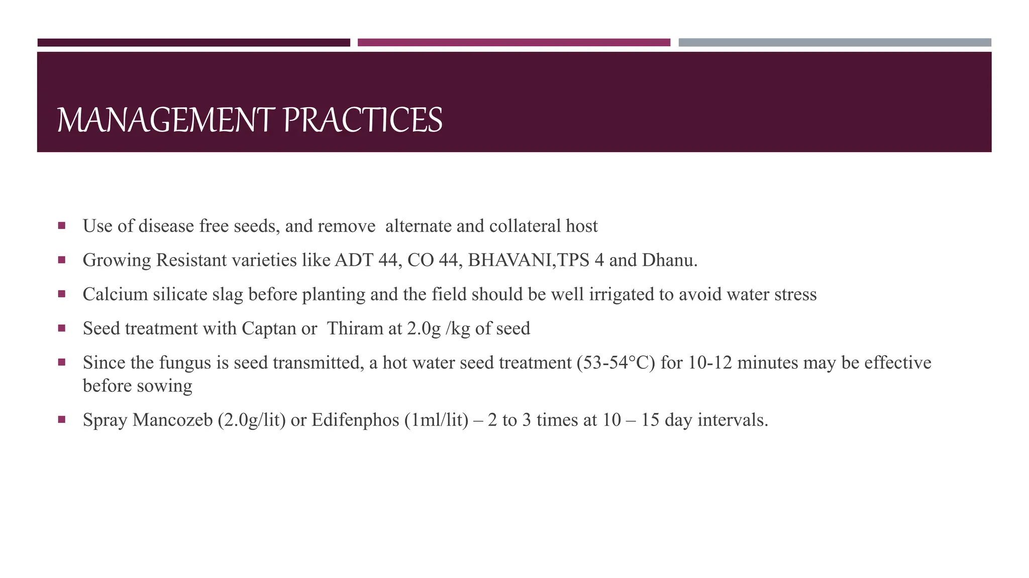 Integrated Disease management of paddy PPT | PPTX