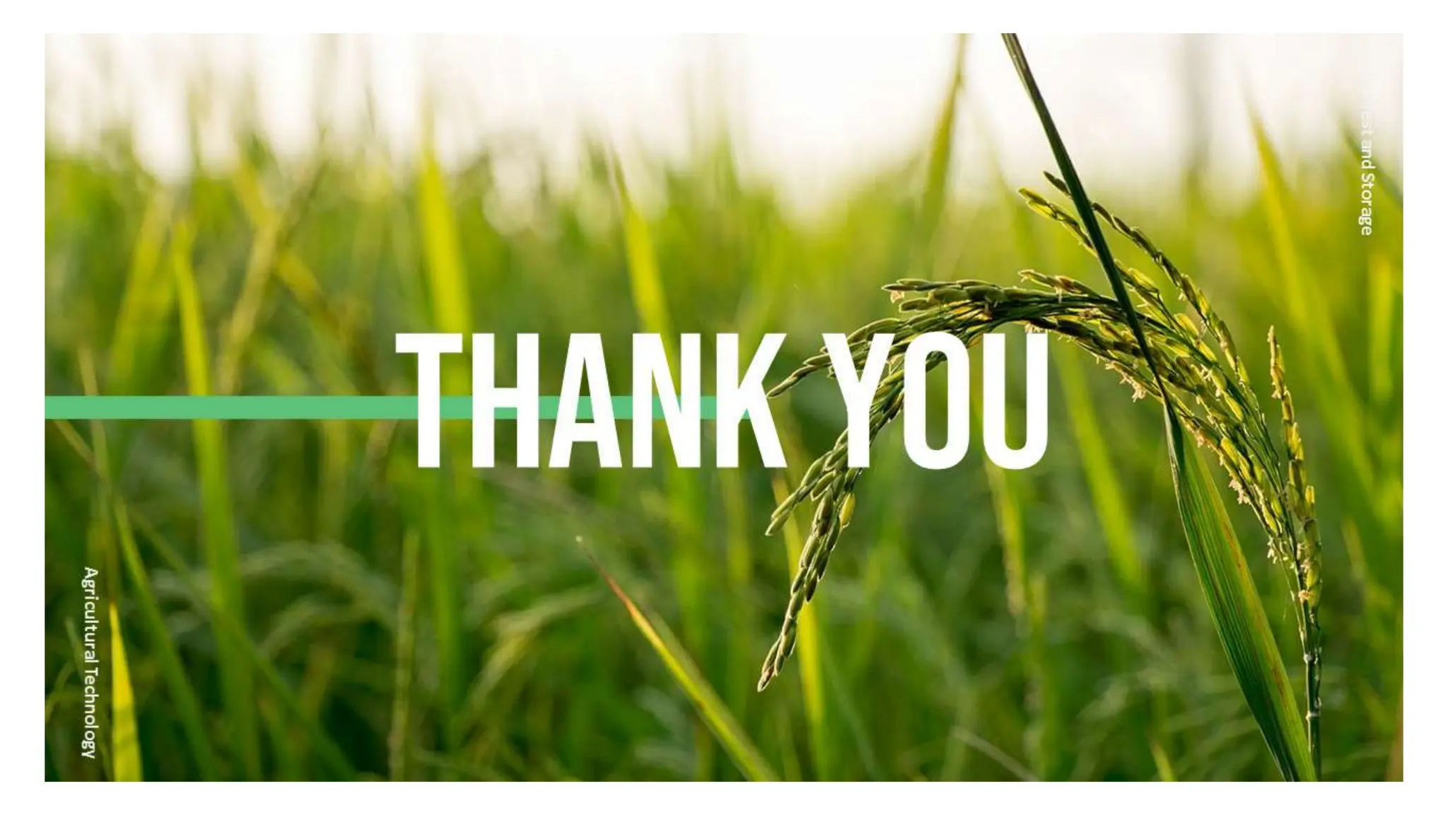 Integrated Disease management of paddy PPT | PPTX