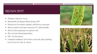 Integrated Disease management of paddy PPT | PPTX