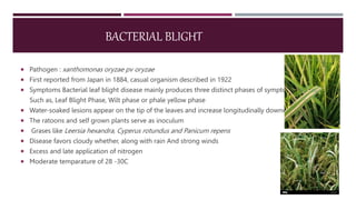 Integrated Disease management of paddy PPT | PPTX