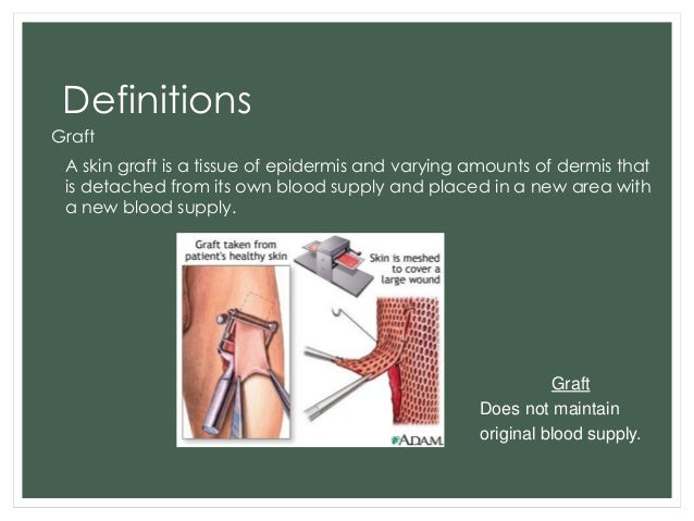 Skin graft and skin flap