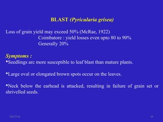 integrated disease management in ragi | PPT