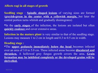 integrated disease management in ragi | PPT