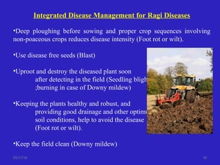 integrated disease management in ragi | PPT