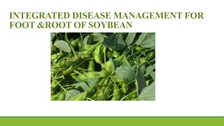 Integrated Disease Management of soybean | PPTX