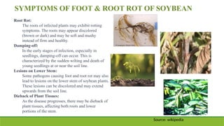 Integrated Disease Management of soybean | PPTX