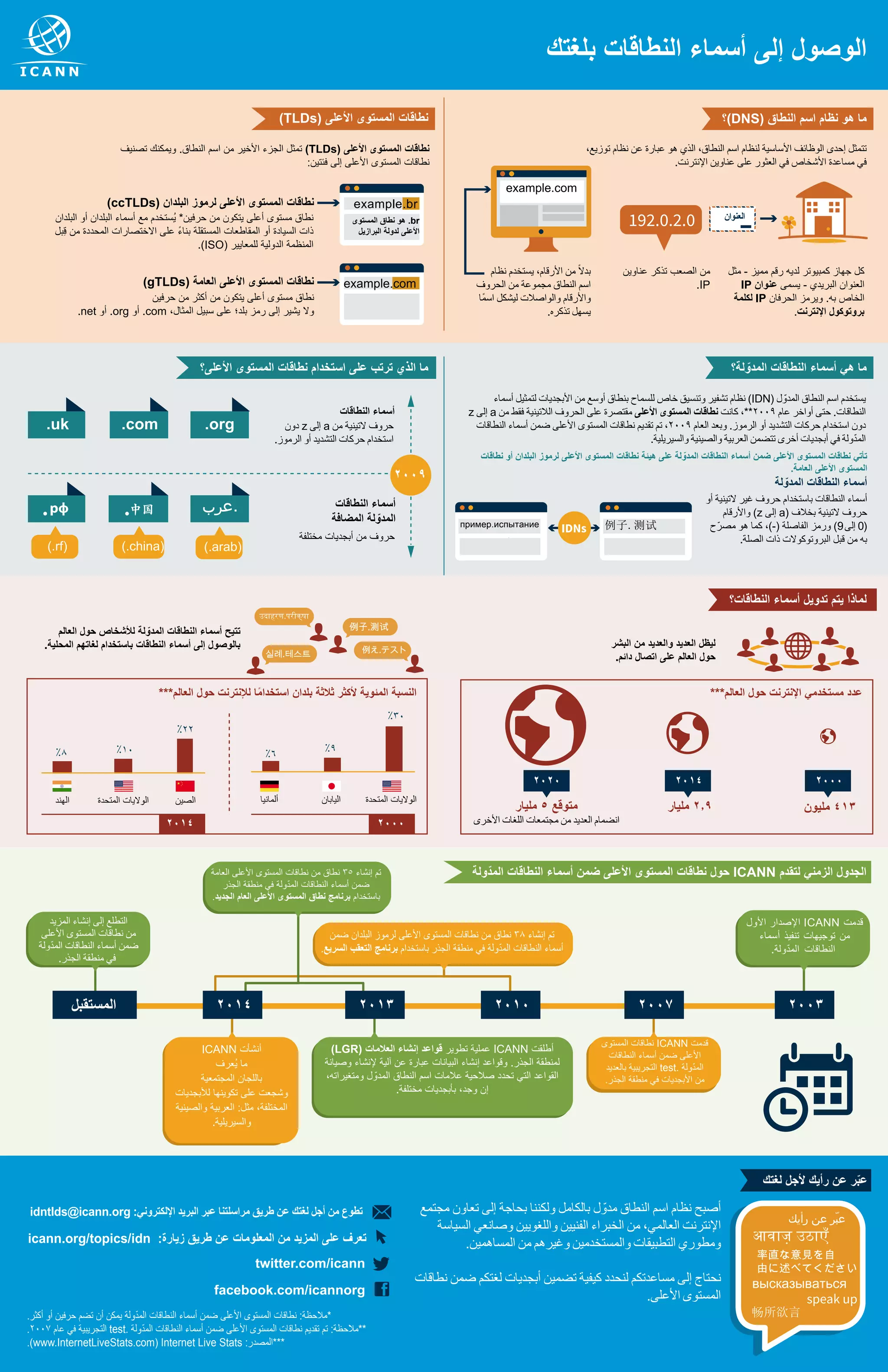 IDN Access Domain Names Infographic Arabic | PDF