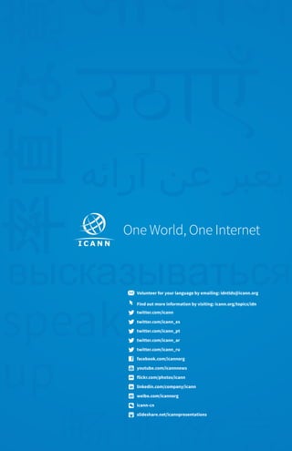 IDN Access Domain Names Infographic English | PDF