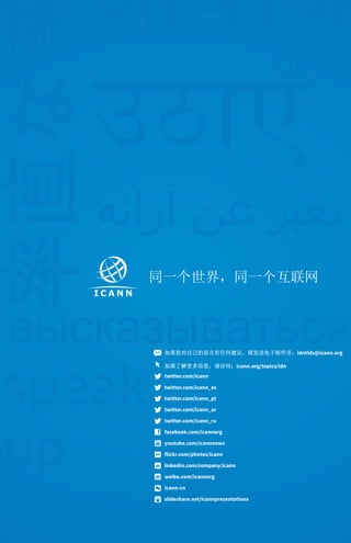 IDN Access Domain Names Infographic Chinese | PDF