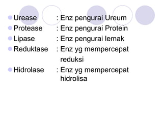 idoc.pub_bioregulatorppt.pdf BIOREGULATOR | PPT
