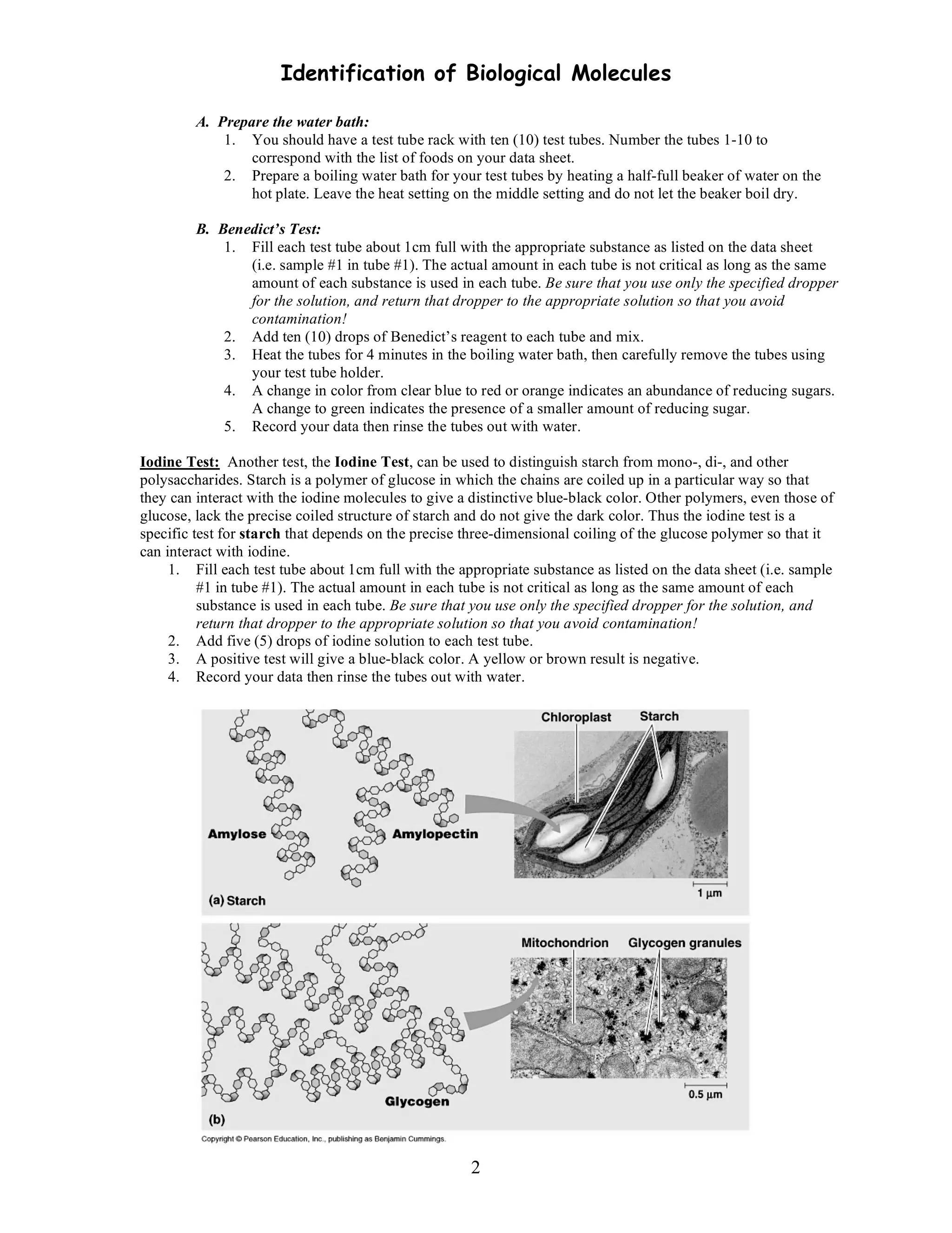 Id of biological molecules lab | PDF