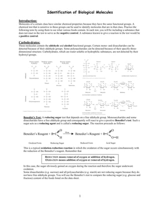 Id of biological molecules lab | PDF
