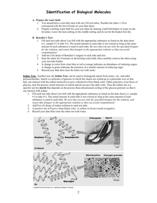 Id of biological molecules lab | PDF