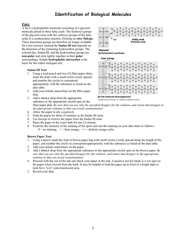 Id of biological molecules lab | PDF