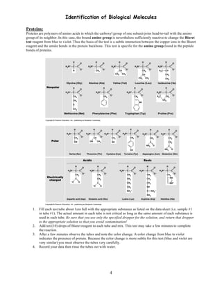 Id of biological molecules lab | PDF