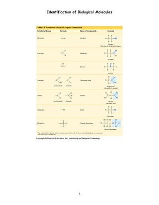 Id of biological molecules lab | PDF