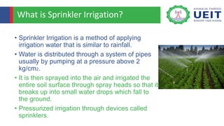 Sprinkler Irrigation.pptx