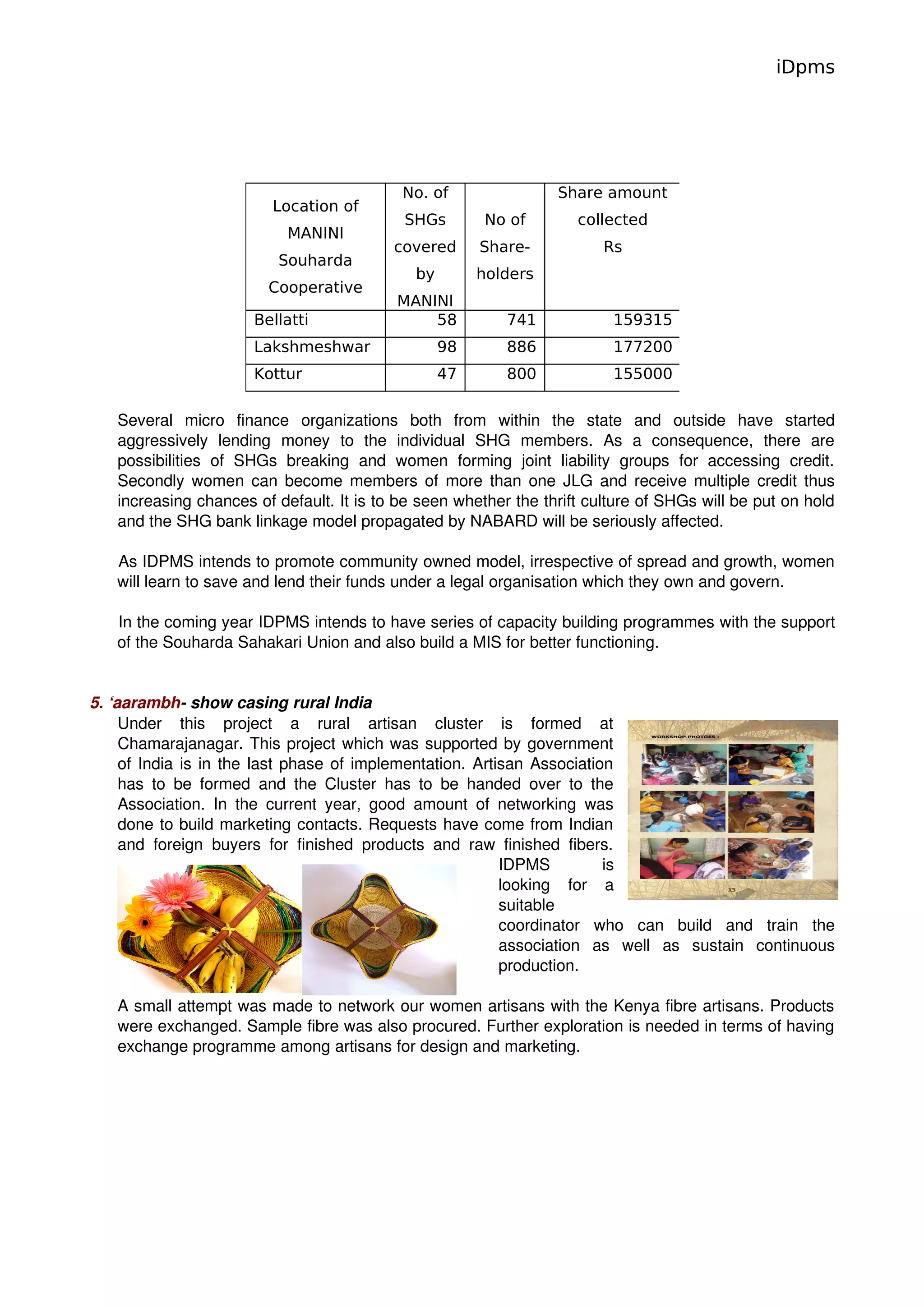 Idpms - annual report 09 | PDF