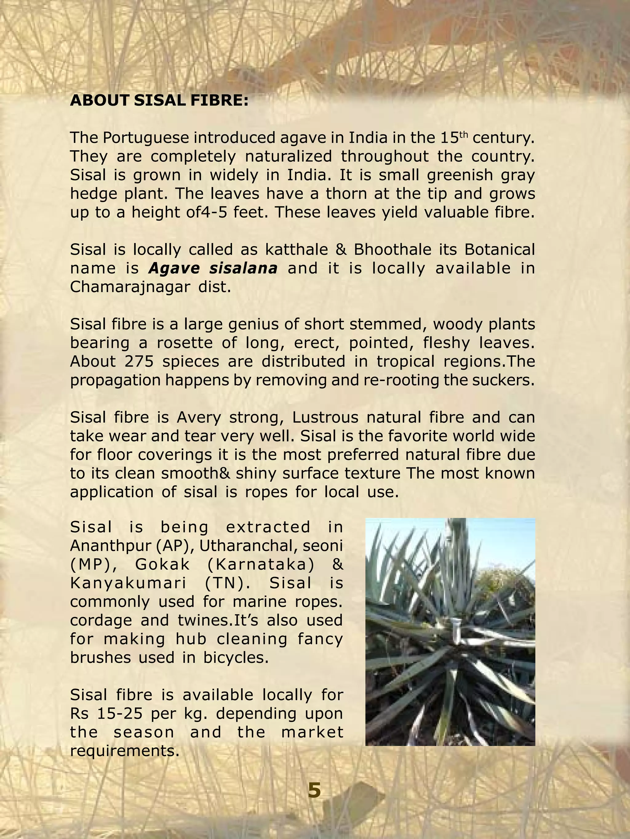 Idpms design development in sisal 2006 | PDF
