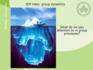 Idp Principles | PDF