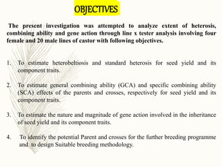 line tester analysis castor | PPTX | Genetics | Science
