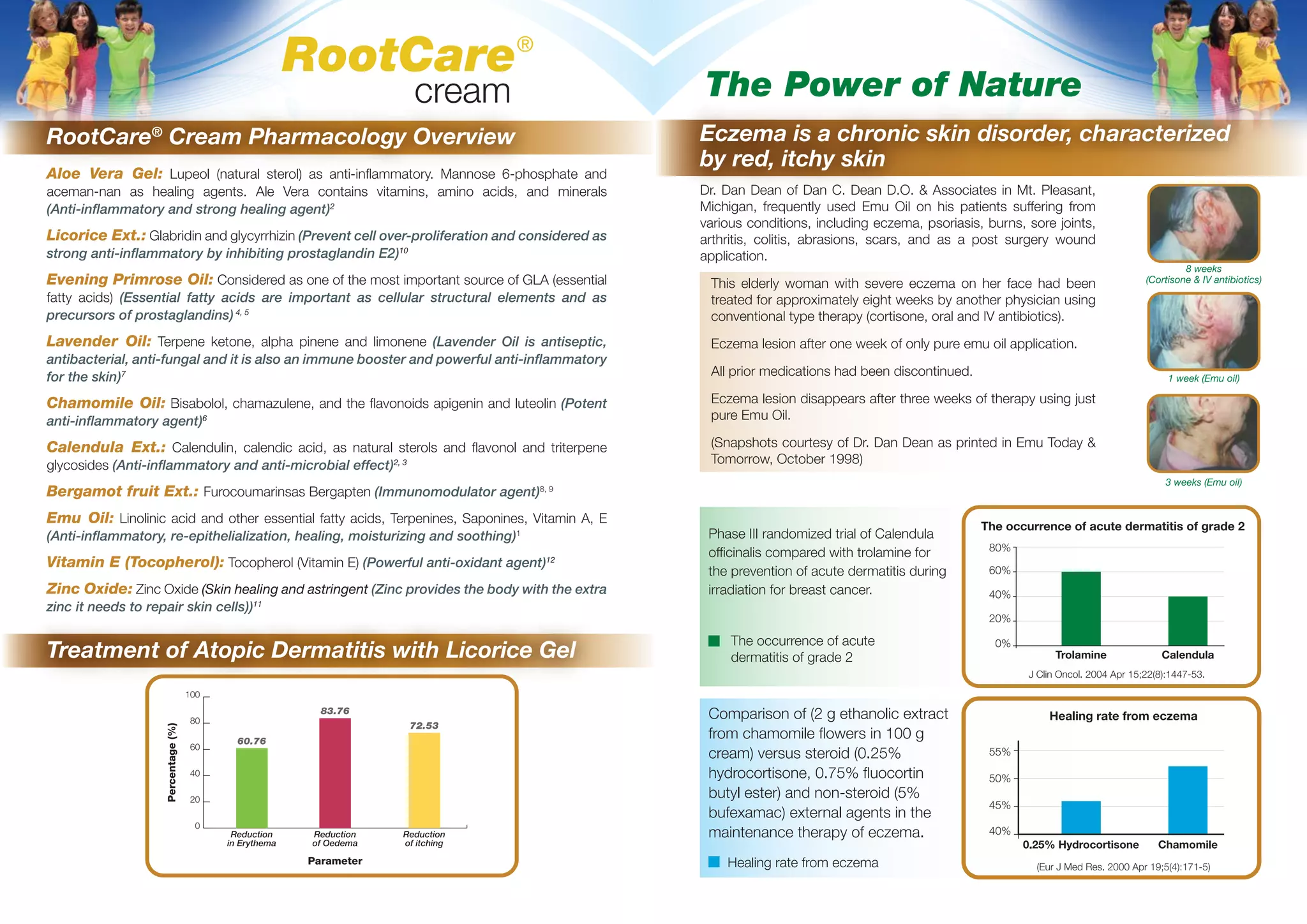 Root care brochure | PPT