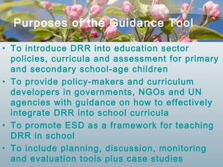 Integrating Disaster Risk Reduction into the Curriculum: A Technical ...