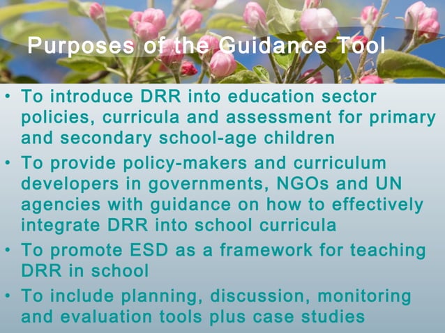 Integrating Disaster Risk Reduction into the Curriculum: A Technical ...