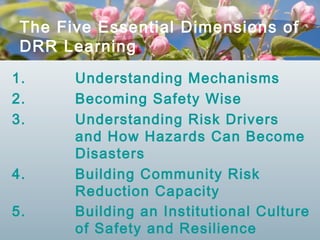 Integrating Disaster Risk Reduction into the Curriculum: A Technical ...