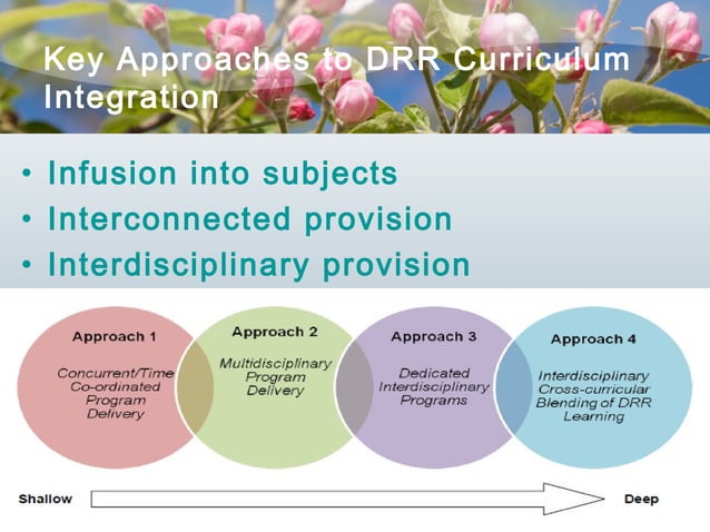 Integrating Disaster Risk Reduction into the Curriculum: A Technical ...